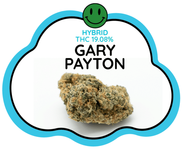 Gary Payton - Cloud Nine Thailand