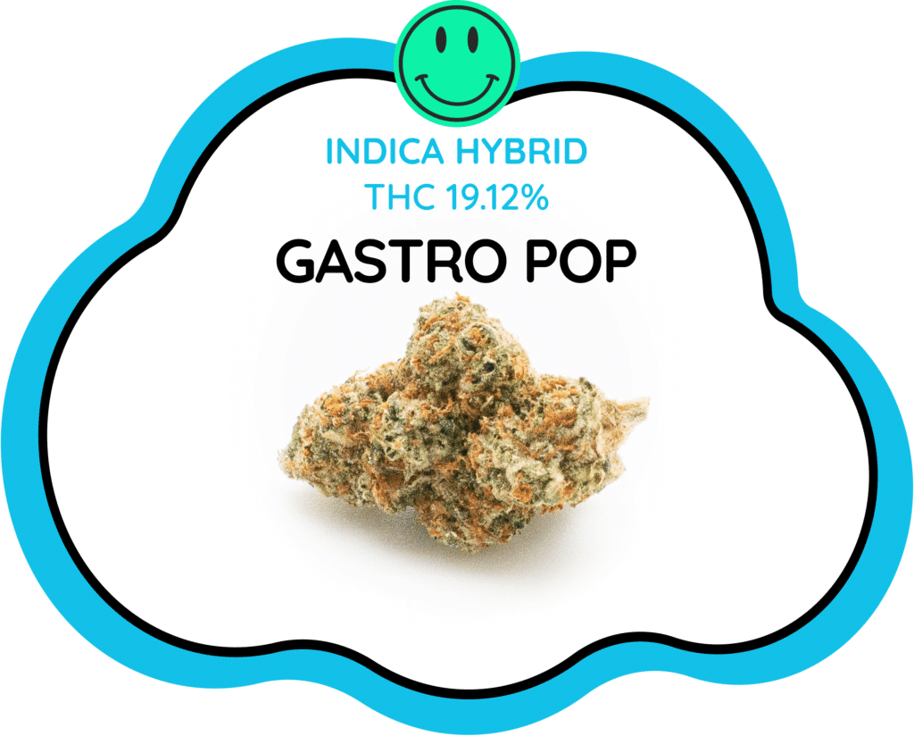 all strains2 - Cloud Nine Thailand