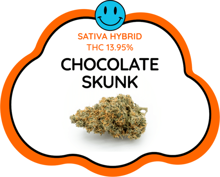 Chocolate Skunk - Cloud Nine Thailand