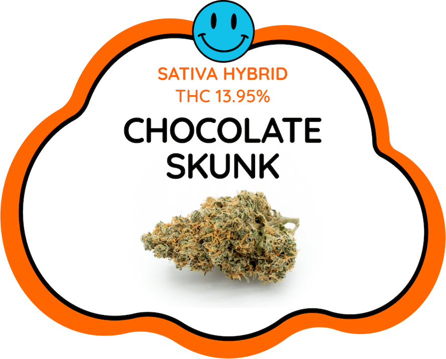 Chocolate Skunk - Cloud Nine Thailand