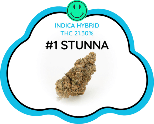 Stunna 1 Strain - Cloud Nine Thailand