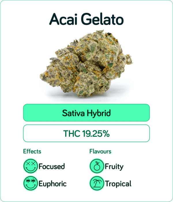 Acai Gelato - Cloud Nine Thailand