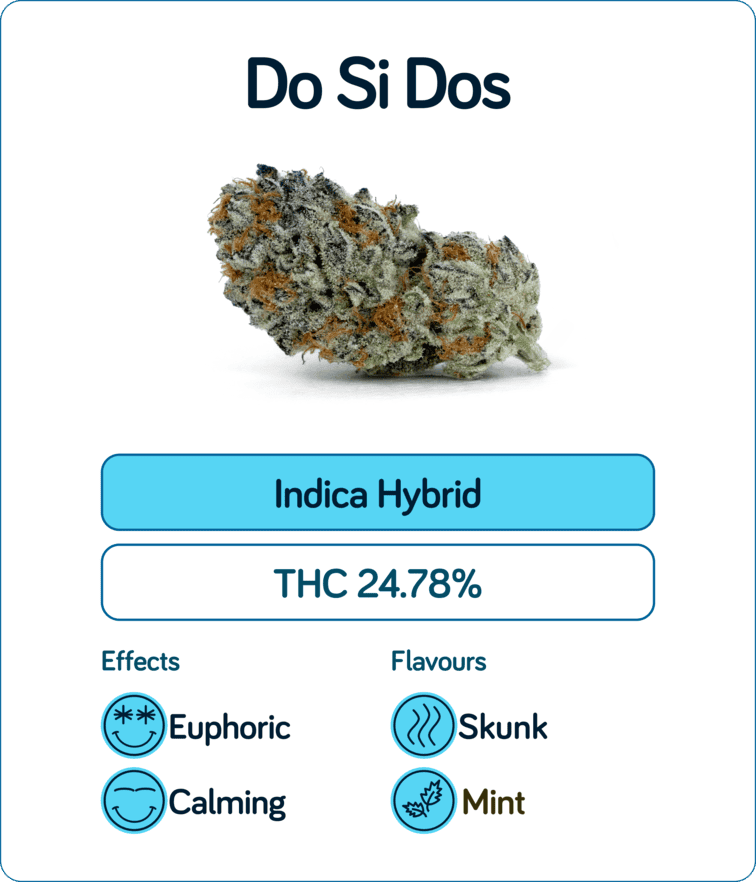 Do Si Dos - Cloud Nine Thailand